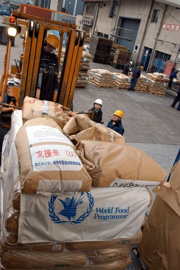 Forklift Carries Rice Bags Cambodia Container Editorial Stock Photo ...