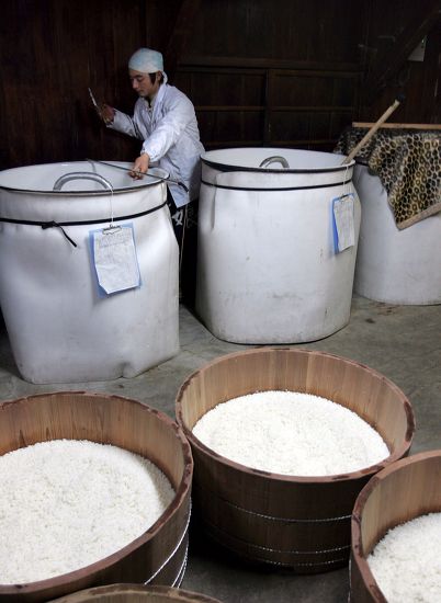 Vats Sake Early Stages Fermentation Terada Editorial Stock Photo ...