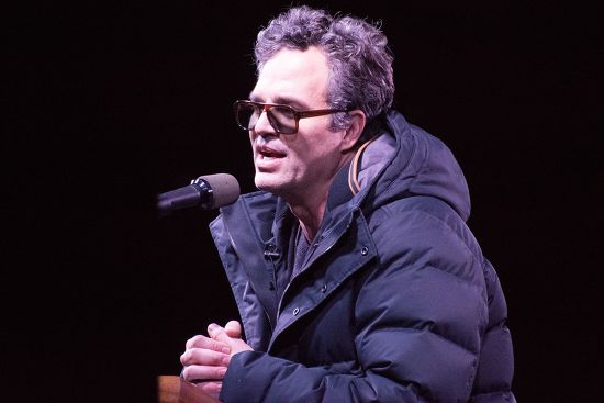 Mark Ruffalo Organizer Protest Rally Editorial Stock Photo - Stock ...