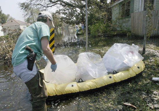 Julie Gayle Unloads Garbage Raft Near Editorial Stock Photo - Stock ...