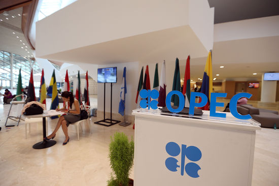 Opec Logo Seen Palace Congress Building Editorial Stock Photo - Stock ...