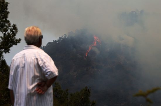 Man Stands Watching Destruction By Fire Editorial Stock Photo - Stock ...