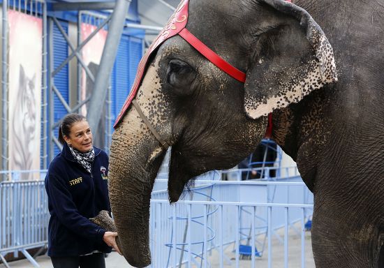 Princess Stephanie Monaco L Poses Elephant Editorial Stock Photo ...