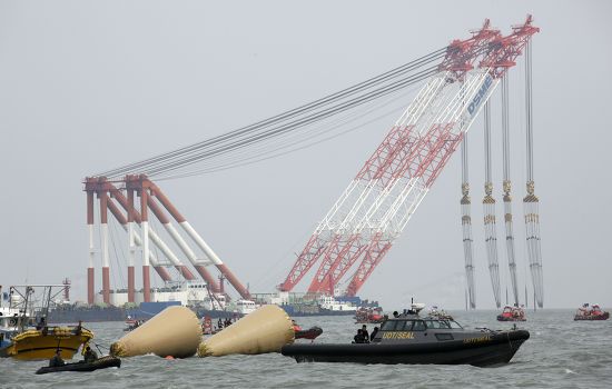 South Korean Navys Underwater Demolition Team Editorial Stock Photo ...