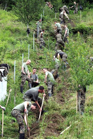 Bosnian Soldiers Dig Trench Electricity Cable Editorial Stock Photo ...
