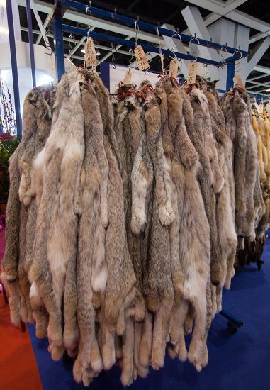 Animal Fur Pelts On Display Hong Editorial Stock Photo - Stock Image ...