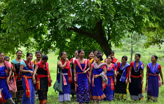 Karbi Tribal Women Their Traditional Attire Editorial Stock Photo ...