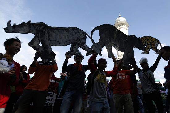 Acehnese Wild Life Activist Hold Cutout Editorial Stock Photo - Stock ...