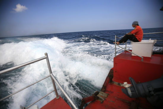 Indonesian Search Rescue Sar Members Conduct Editorial Stock Photo ...