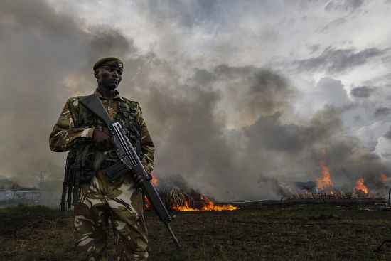 Kenya Wildlife Service Kws Ranger Stands Editorial Stock Photo - Stock ...
