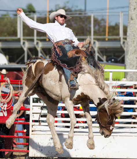 Cort Scheer 196 Elsmere Ne Riding Editorial Stock Photo - Stock Image ...