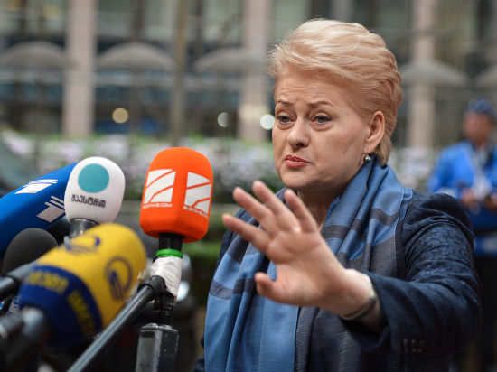 Lithuanian President Dalia Grybauskaite Speaks Reporters Editorial ...