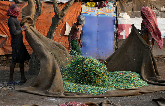 Indian Rag Pickers Handle Plastic Waste Editorial Stock Photo - Stock ...