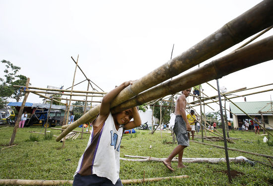 Filipino Boy Carries Bamboo Poles While Editorial Stock Photo - Stock ...