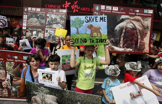 Children Adults Protest Ivory Trade Outside Editorial Stock Photo ...