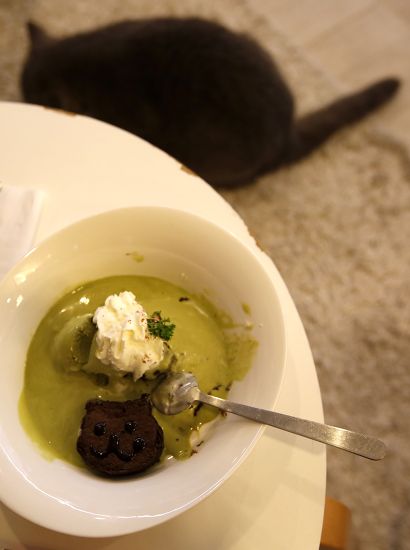 Purr Cat Cafe Brownies Ice Cream Editorial Stock Photo - Stock Image ...
