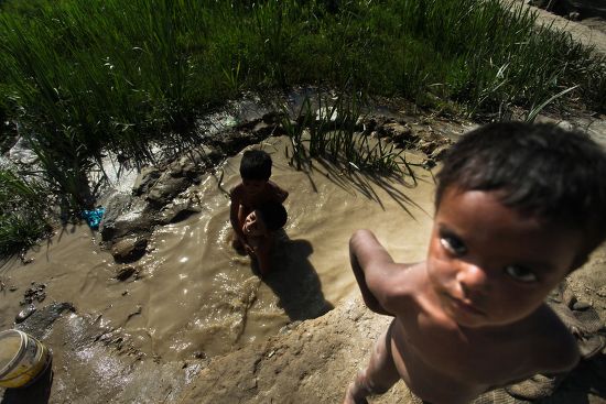 Nonkashmiri Children Bathe Muddy Pool During Editorial Stock Photo ...