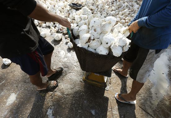 Worker Prepare Cup Lump Rubber After Editorial Stock Photo - Stock ...
