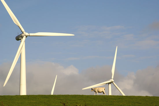 Cow Field Wind Turbines Cornwall Britain Editorial Stock Photo - Stock ...