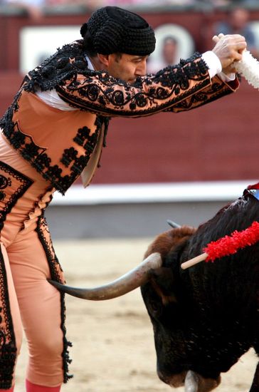 Novice Bullfighter Jose Maria Dobon El Editorial Stock Photo - Stock ...