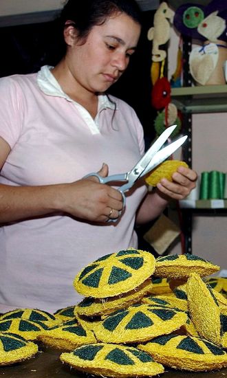 Paraguayan Artisan Craft Uffa Plant Fruitwhich Editorial Stock Photo ...