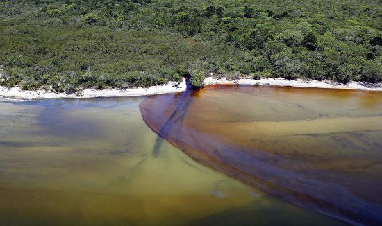 Traces Oil Have Been Found Friday Editorial Stock Photo - Stock Image ...