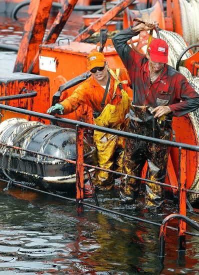 Brazilian Workers Try Clean Methanol Oil Editorial Stock Photo - Stock ...