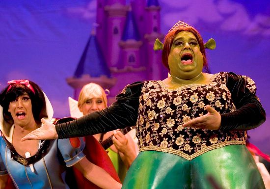 Disguised Fiona Character Animated Film Shrek Editorial Stock Photo ...
