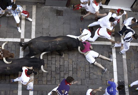 Bull Victoriano Del Rio Ranch Treads Editorial Stock Photo - Stock ...
