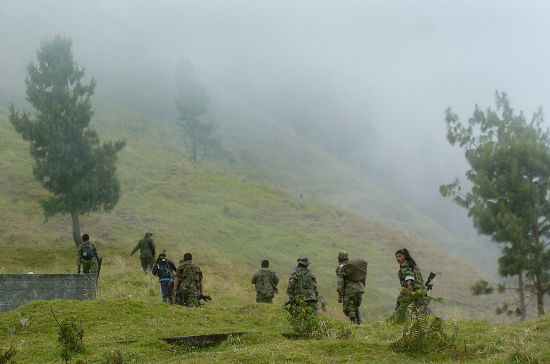 Guerrilla Colombian Revolutionary Armed Forces Farc Editorial Stock ...
