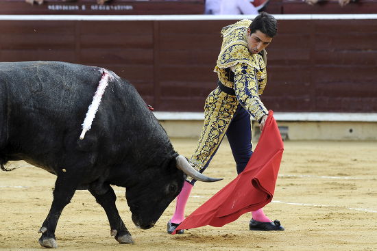 Spanish Bullfighter Javier Castano Performs During Editorial Stock ...