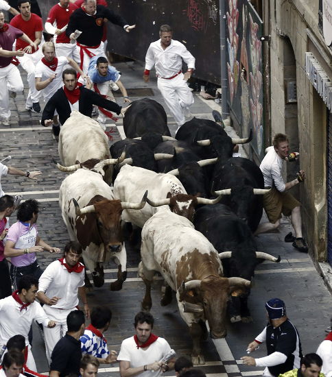 Bulls Victoriano Del Rio Ranch Chase Editorial Stock Photo - Stock ...