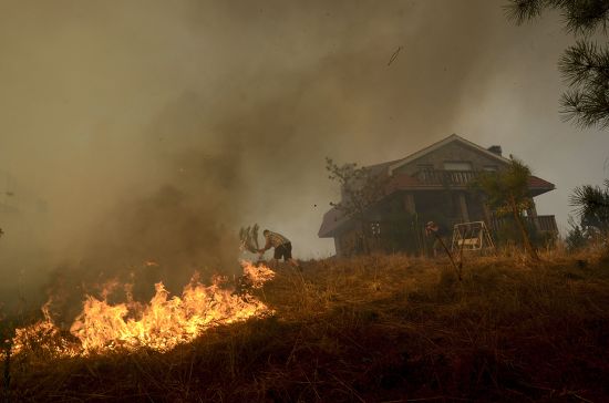 Resident Participates Efforts Control Forest Fire Editorial Stock Photo ...