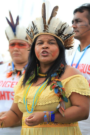 Brazilian Native Leader Sonia Bone Guajajara Editorial Stock Photo ...