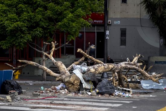 Tree Forms Part Barricade That Made Editorial Stock Photo - Stock Image ...