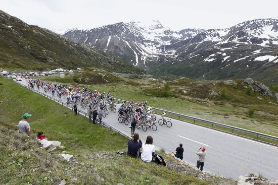 Pack Riders Climb Simplon Pass Altitude Editorial Stock Photo - Stock ...
