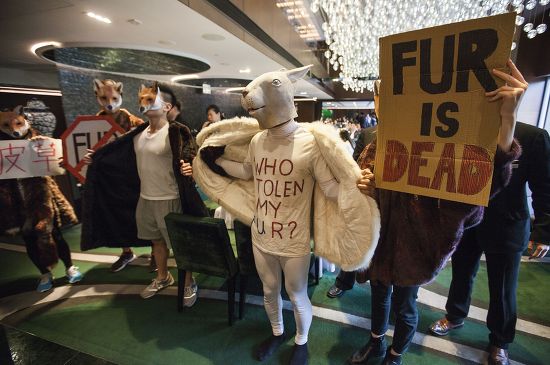 Antifur Animal Welfare Protestors Disrupt Lunch Editorial Stock Photo ...