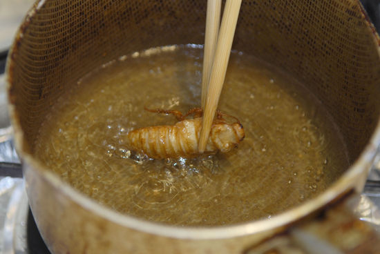 Deep Frying Madagascar Cockroach Editorial Stock Photo - Stock Image ...
