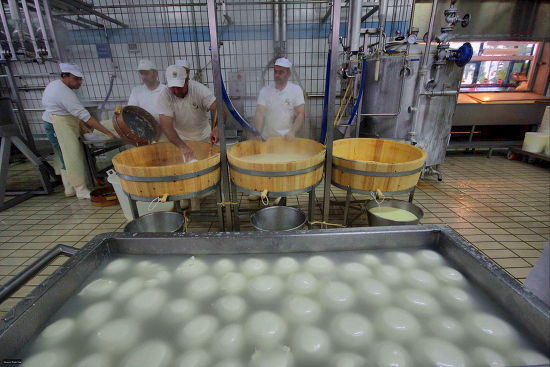 Workers Prepare Buffalo Mozzarella Farm Marcianise Editorial Stock ...