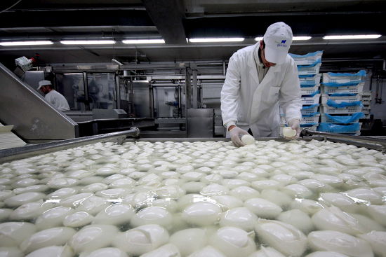 Worker Prepares Buffalo Mozzarella Farm Capua Editorial Stock Photo ...