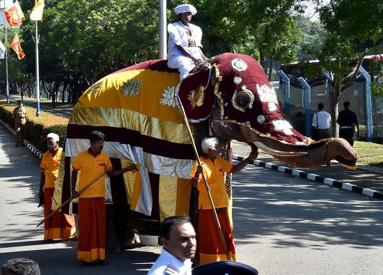 Elephants Welcome Pope Francis Not Pictured Editorial Stock Photo ...