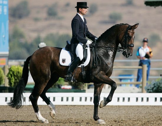German Rider Martin Schaudt Performs During Editorial Stock Photo ...