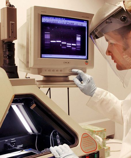 Scientist Adrian Briggs Works Eagle Eye Editorial Stock Photo - Stock ...