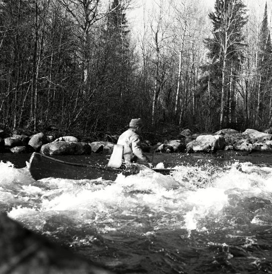 Forest Rangers Tv Episode24the River Editorial Stock Photo - Stock ...