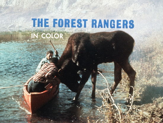 Forest Rangers Tv Promotional Poster Editorial Stock Photo - Stock ...