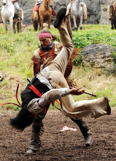 Great Wolf Chief Utahs Meinolf Pape Editorial Stock Photo - Stock Image ...