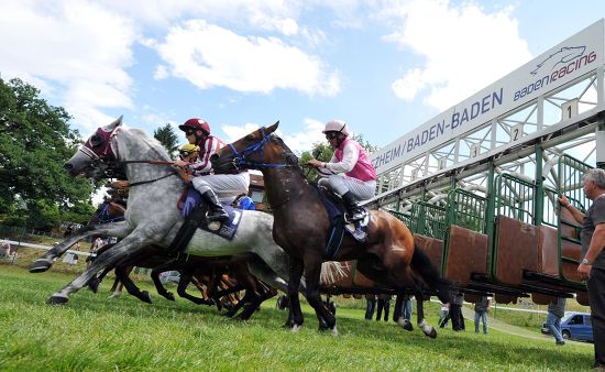 Group Horse Riders Start Race Horse Editorial Stock Photo - Stock Image ...