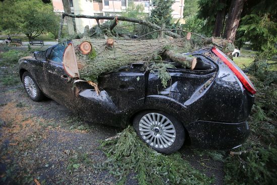 Mangled Remains Vehicle Bad Schwalbach Hessen Editorial Stock Photo ...