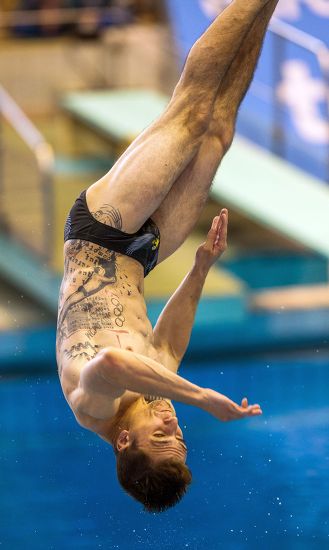 French Diver Matthieu Rosset Action During Editorial Stock Photo ...