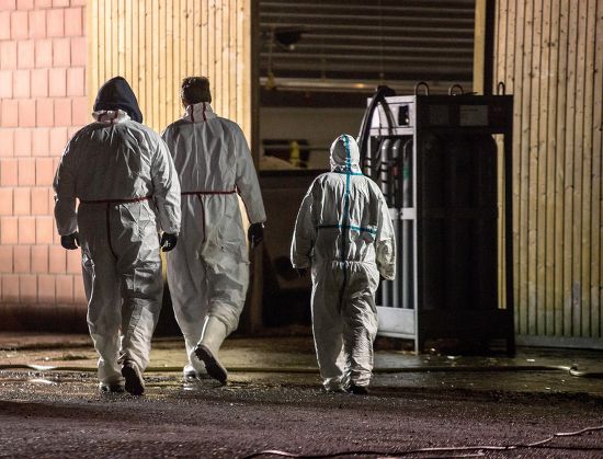 Members Termination Team Prepare Cull Poultries Editorial Stock Photo ...